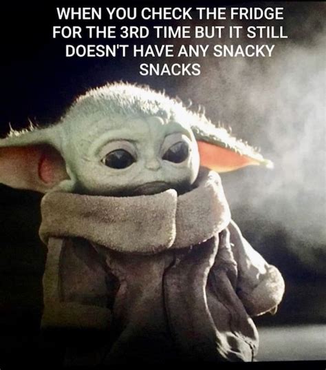 Meme Hub Marriage No Sex Adulting Life Humor True Funny Photo Captions