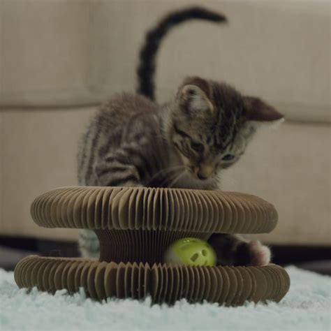Kitty Round N Round Cat Toy Jml