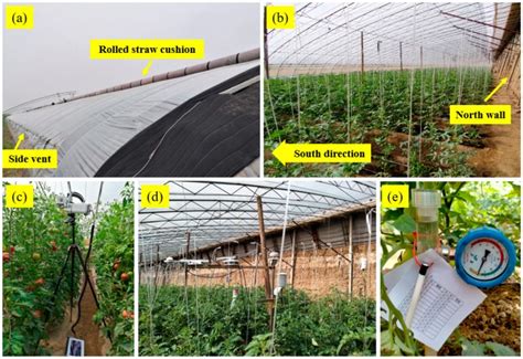Mdpi Horticulturae On Linkedin Horticulturae Specialissue