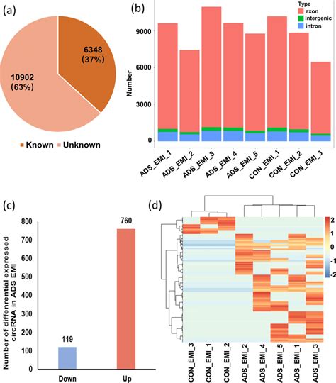 Characteristics Of The Circular Rna Expression Profile In Emi Tissues