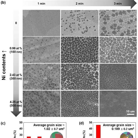 Observation Of Controlling The Nucleation Density And Grain Size Of