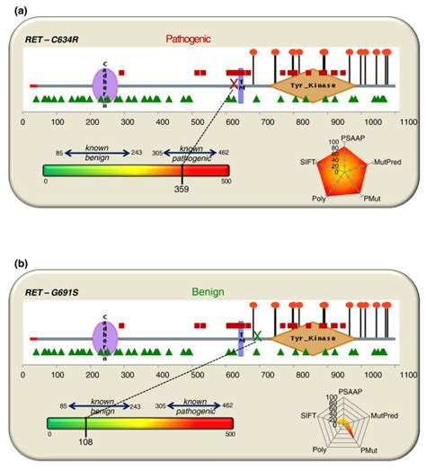 Protein View With Consensus Scoring A B Proposed Visualization Of
