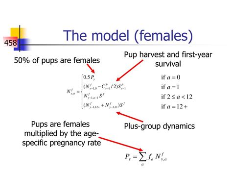 Ppt Age Structured Models Continued Powerpoint Presentation Free