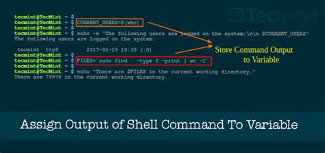 Output Linuxteaching