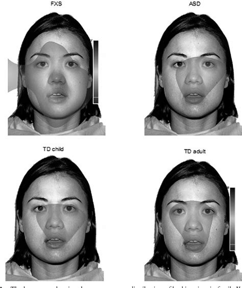 Figure 1 From Implicit Discrimination Of Basic Facial Expressions Of Positive Negative Emotion