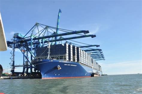 CMA CGM And COSCO Shipping Strengthen Port Partnership Ahead Of Ocean Alliance Launch