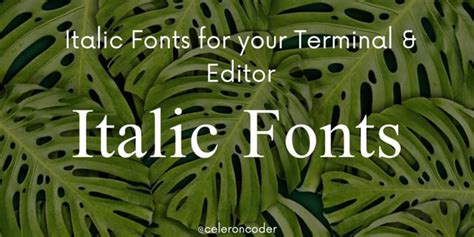 italic fonts r devto