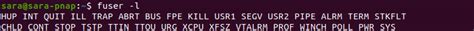 Fuser Linux Command With Examples PhoenixNAP KB
