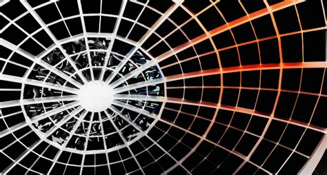 현대 추상 벡터 그림입니다 디지털 미래 지향적 인 흑백 선형 모양 복잡한 현대 기술의 아름다움 절묘한 라운드 소용돌이기하학적