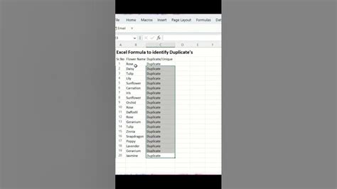 How To Identify Duplicate Records In Excel Using Formulacountif Findexcel Youtube