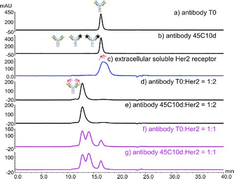 Sec Uv Profile 280 Nm Of A Antibody B Stressed Antibody 45°c 10