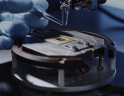 Alice And Bob Cat Qubits Could Make The Useful Quantum Computer