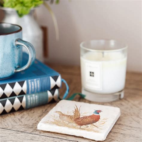 The Pheasant Parade Coasters Set Of 2 By The Humble Hare Finch And Lane