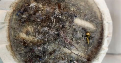 친절하시고 작업도 엄청 꼼꼼히 해주시고 잘해주십니다~ 숨고 숨은고수