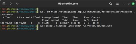 run kubernetes locally install minikube on ubuntu 22 04