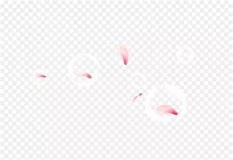 气泡中的花瓣png图片素材下载图片编号7342795 Png素材网