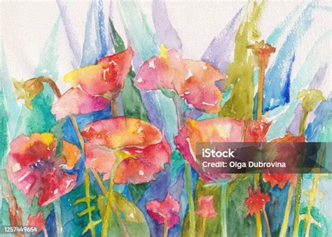 붉은 양귀비와 녹색 잎이있는 필드 손으로 그린 수채화 일러스트 여름과 봄 식물 테마 인사말 카드 캘린더 커버 및 책에 대한 그림 봄에 대한 스톡 벡터 아트 및 기타 이미지