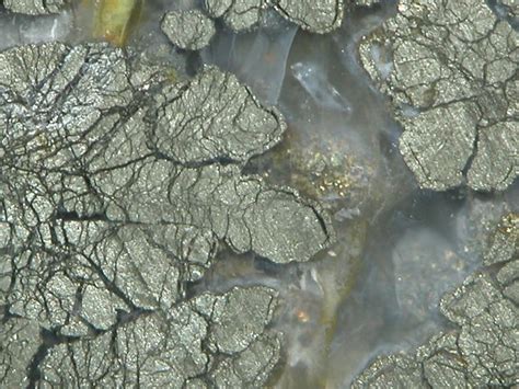 Nipomo Marcasite In Agate Artistic Images Close Up Pictures City Photo