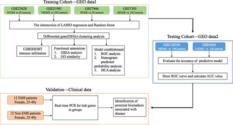Overview Of The Study Workflow Download Scientific Diagram