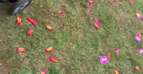 Candy Cannon Gone Wrong Sharedots