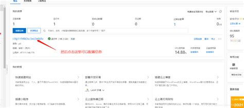 从零开始，java个人项目部署上线，并能在公网访问 java项目部署公网 csdn博客