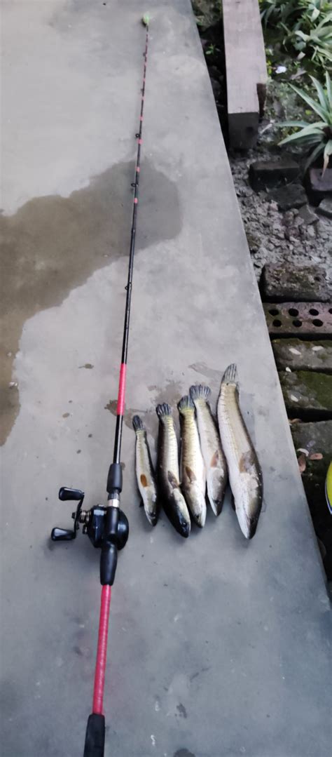 မအူပင်မြို့နယ်ငါးမျှားဝါသနာရှင်များဆုံဆည်းရာ