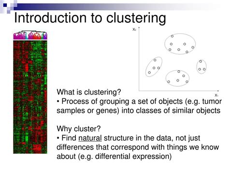 Ppt Lecture 9 Gene Expression Analysisclustering Powerpoint Presentation Id1096517