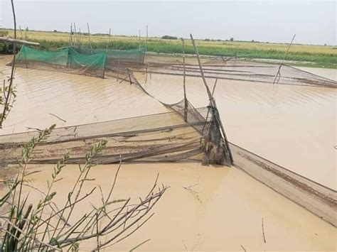 អ្នកភូមិបង្ហើបថាប្រធានសហគមន៍តំបន់អភិរក្សទួលចារបើកដៃអោយមានសកម្មភាពបទល្មើសក្នុងដែនដែលខ្លួនគ្រប់គ្រ