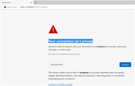 C Running Web Api Project Locally ‘your Connection Isnt Private