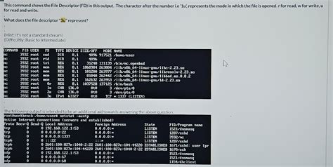 solved this command shows the file descriptor fd ﻿in this