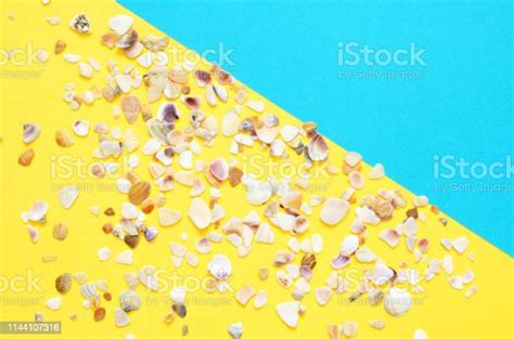 청록색과 노란색 종이 배경에 바다 포탄 패턴입니다 여름 개념입니다 플랫 레이 평면도이미지 가리비에 대한 스톡 사진 및 기타 이미지 Istock