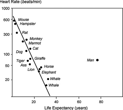 Exercise Heart Rate Variability And Longevity Circulation
