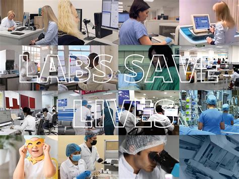 Institute Of Biomedical Science My Research Project Meme 3 Tdwsamrai