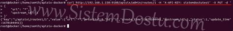 apisix route ve upstream İşlemleri sistem ve network dünyasına