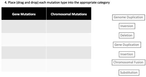 Solved 4 Place Drag And Drop Each Mutation Type Into The