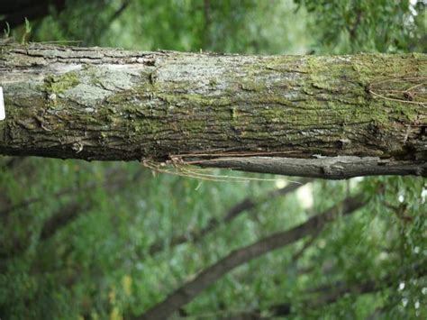 아이고 이런 유아인 게이 증거자료 잠넵담