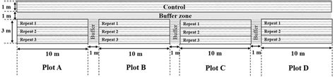 Experimental Design Of The Plots For The Field Experiment Download Scientific Diagram