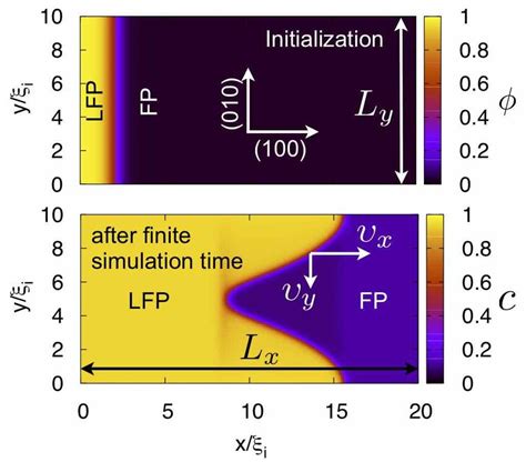 Color Online Setup Of The 2d Phase Field Simulations Of The Download Scientific Diagram