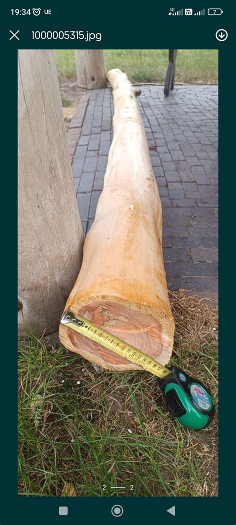 Yew Log R Bowyer