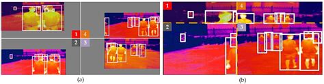 Sensors Free Full Text A Thermal Infrared Pedestrian Detection Method For Edge Computing Devices