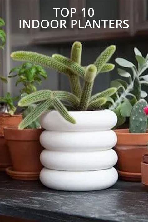 10 Statement Making Indoor Planters Artofit
