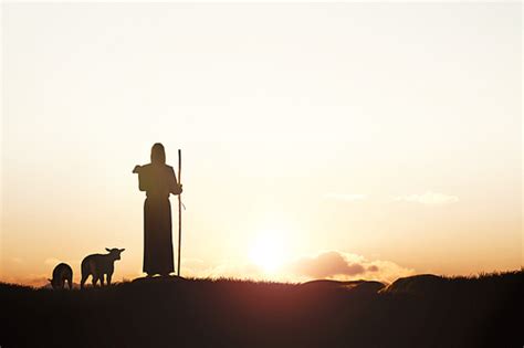 노을지는 아름다운 자연 그리고 양과 어린양 선한 목자 예수그리스도 유토이미지 상세페이지 베이직샵 사진 22014569