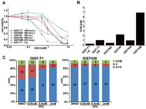 Effects Of 2dg In Gist Cell Lines A Cytotoxicity Assays 6 Days In Download Scientific