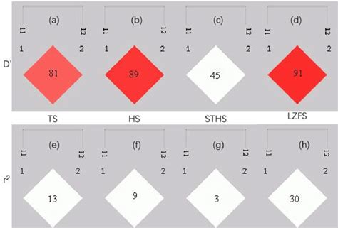 Linkage Disequilibrium Ld Plot Of Crtc3 Gene In Four Different Sheep Download Scientific