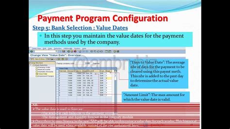 Sapfico Config Fi Ap Part Iii Payment Program Youtube