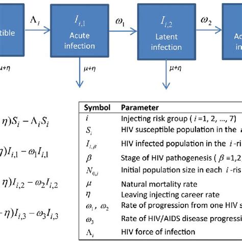 Hcv Mathematical Model Description Equations And Parameter