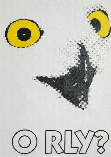 O Rly Owl Drawing