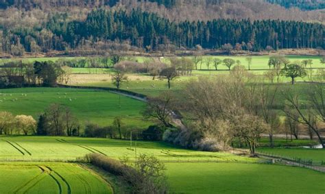 Statement On The Sentencing Of Fr James Callaghan Osb Ampleforth Abbey