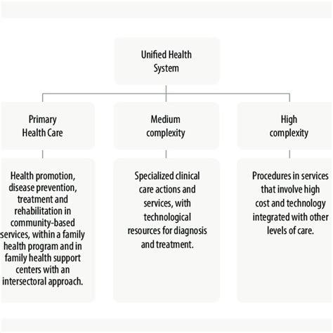 flow of increasing levels of complexity of the unified health system