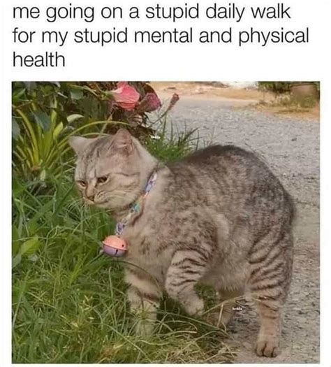 31 Depressing Memes To Make You Feel Better About Your Own Life